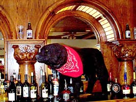Sunol - Bosco's Bones and Brew